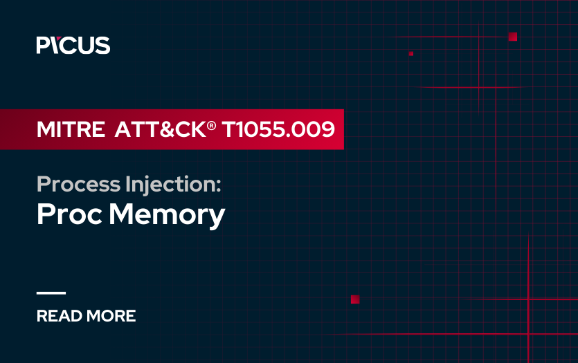 MITRE ATT&CK T1055.009 Process Injection: Proc Memory